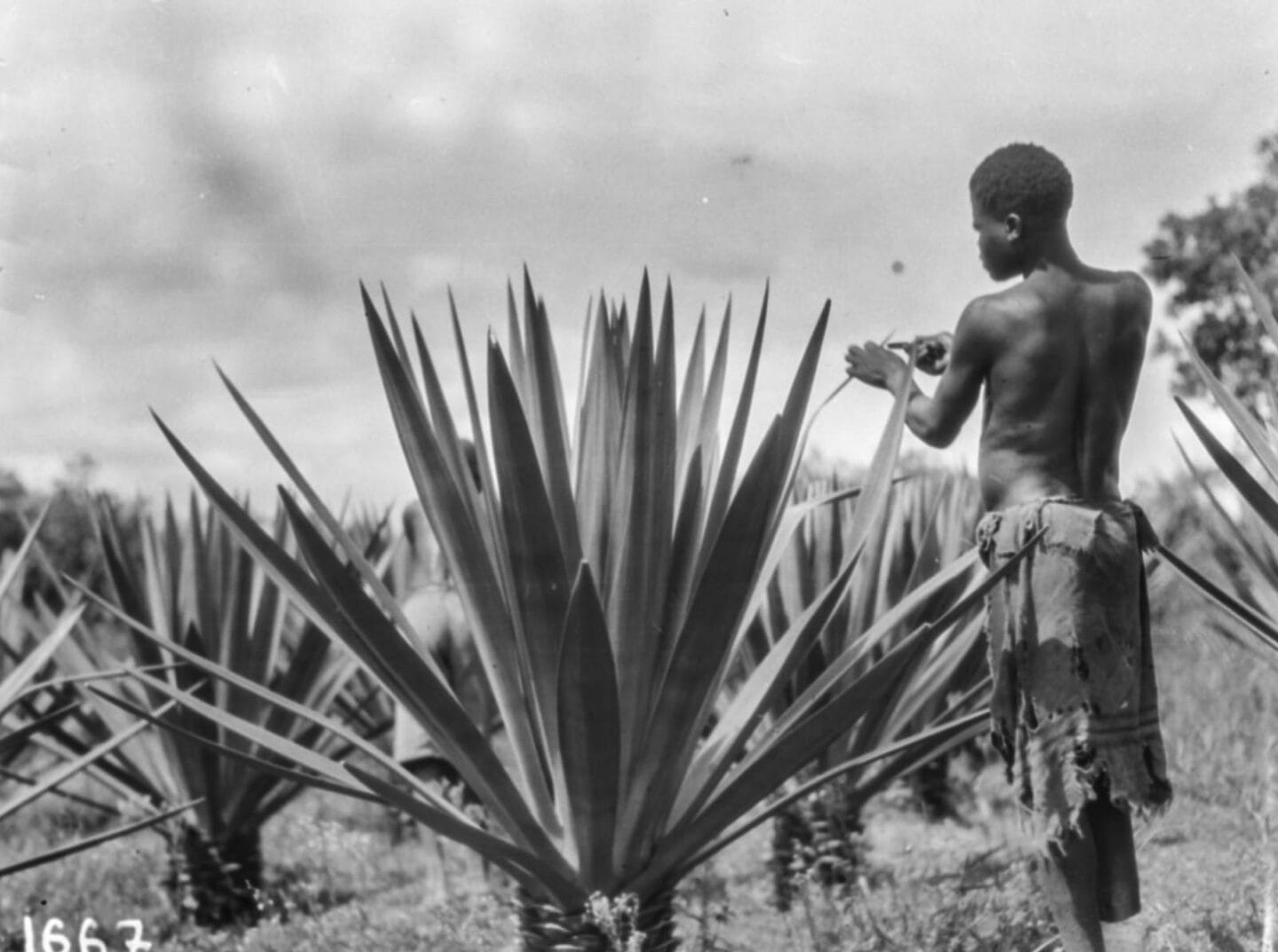 Die Akademie Schloss Solitude ist ein internationales Artist-in ...